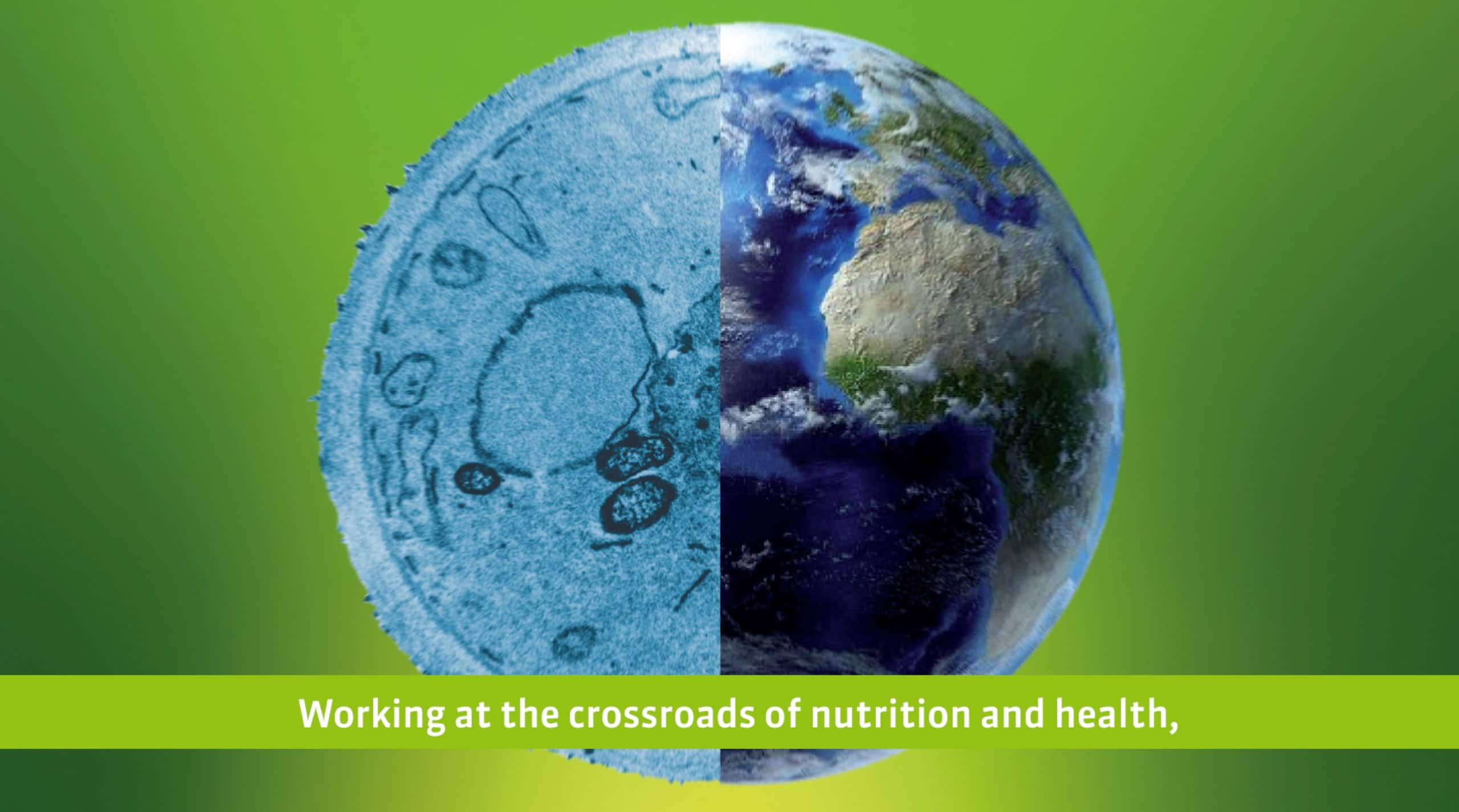 Phileo by Lesaffre is committed to delivering animal health solutions ...