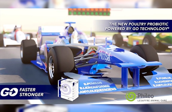 Microsaf • Phileo by Lesaffre