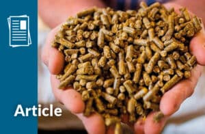 Actisaf Sc 47: Improve Animals' Performances | Phileo by Lesaffre