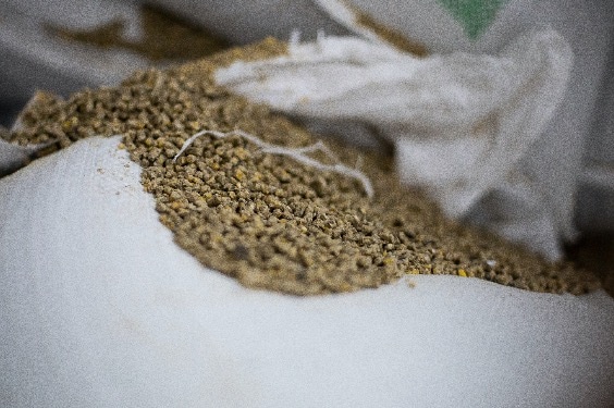 Thermomechanical treatment of feed during the pelleting process ...