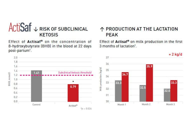 Milk Profit Program | Phileo by Lesaffre