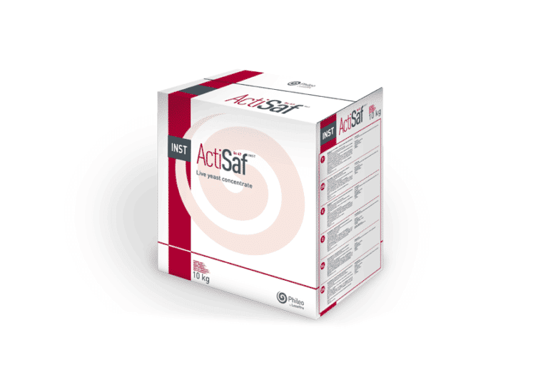 Actisaf: Improve Animals' Performances | Phileo by Lesaffre