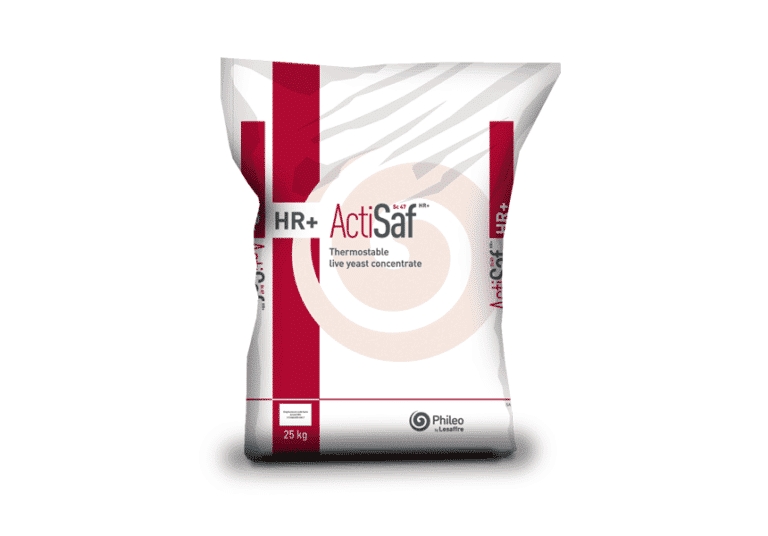 Actisaf Sc 47: Improve Animals' Performances | Phileo by Lesaffre