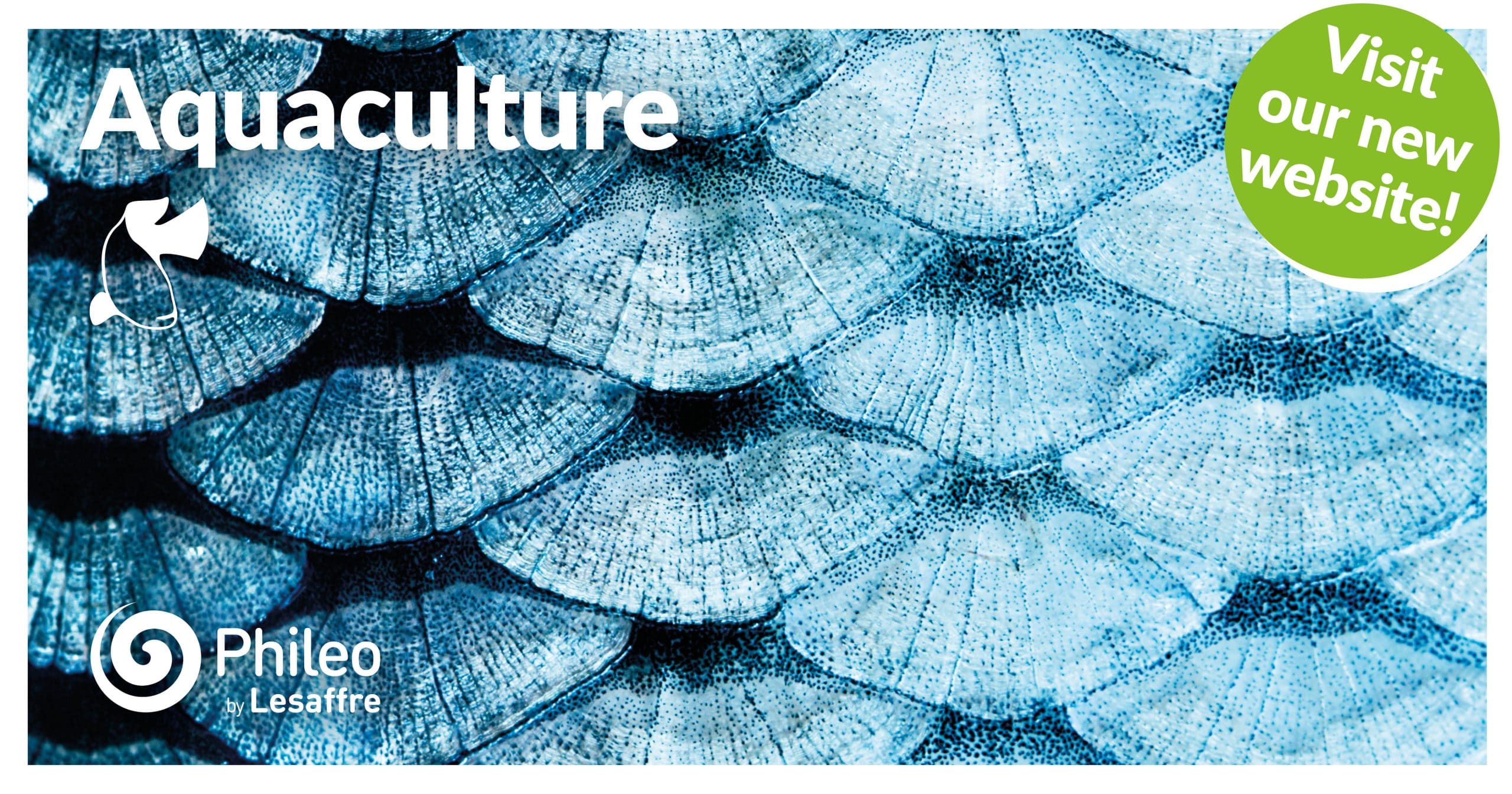 Aquaculture : yeast probiotics solutions | Phileo by Lesaffre