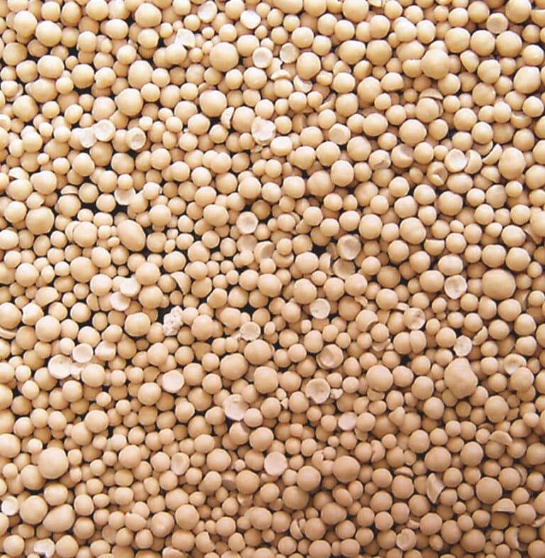 Actisaf Sc 50: Probiotic for premium dry food | Phileo by Lesaffre