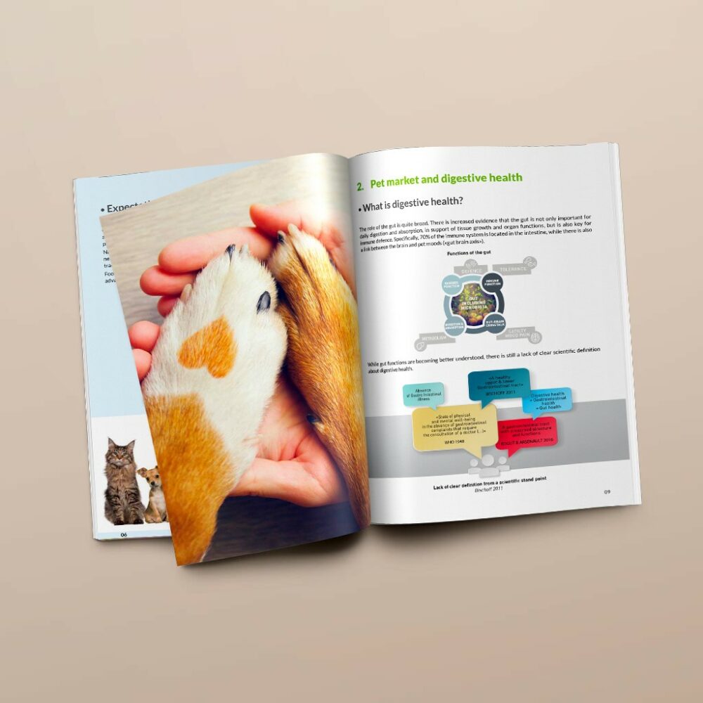 Actisaf Sc 50: Probiotic for premium dry food | Phileo by Lesaffre