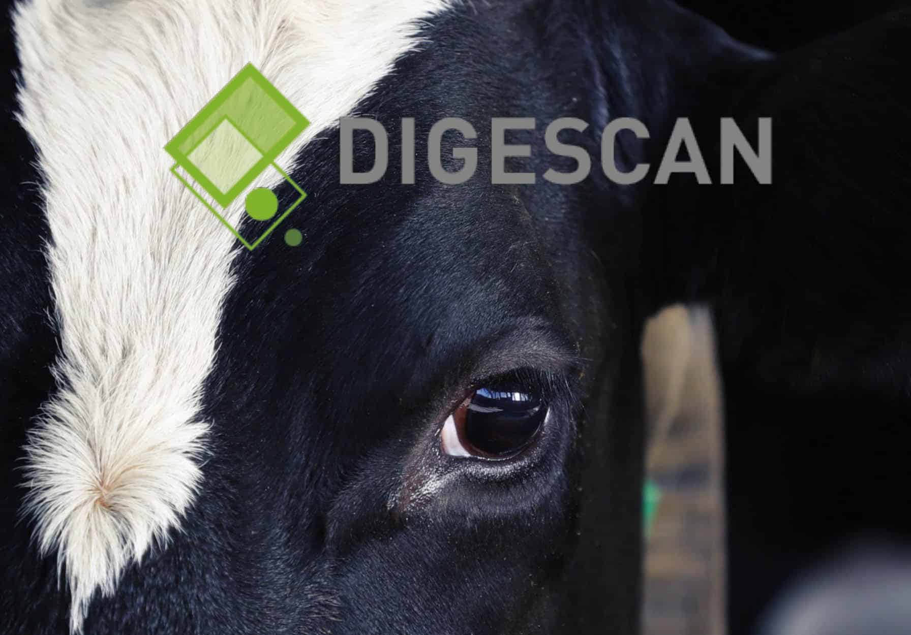 Digescan service