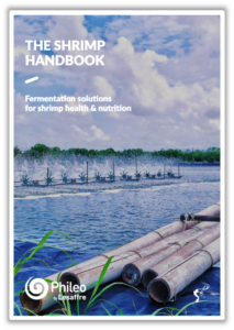Phileo by Lesaffre unveils Aquasaf Shrimp, a comprehensive guide on ...